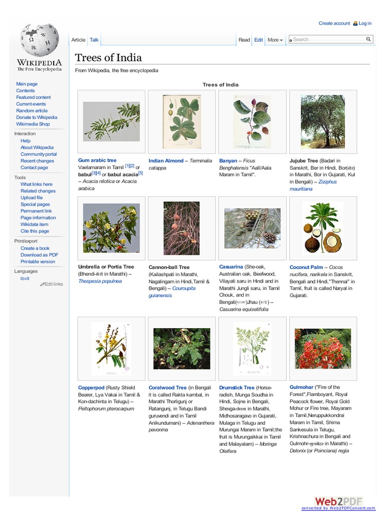 Trees of India | PDF | Wikipedia | Plant Life Form