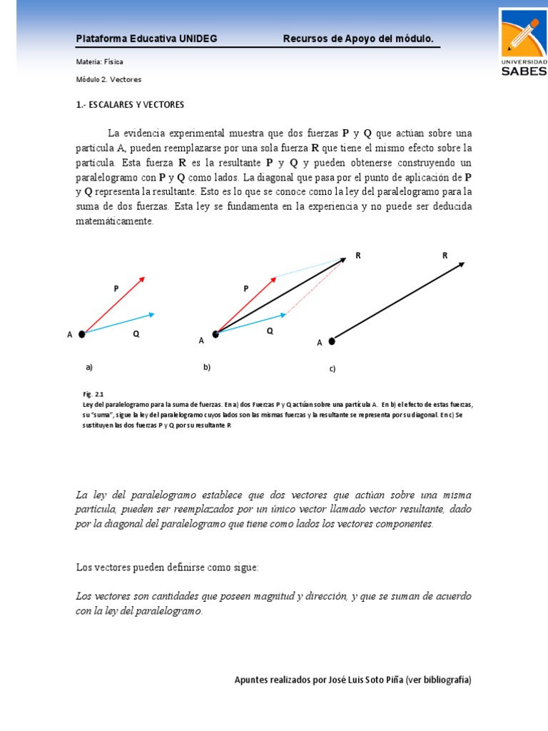 Escalas y Vectores | PDF | Vector Euclidiano | Física