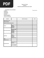 Formato de Liberación de Colado | PDF