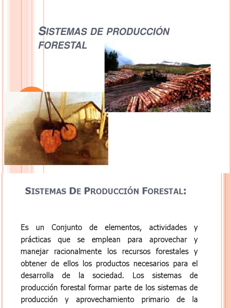 Sistemas de Producción Forestal | Costo | Multiplicación