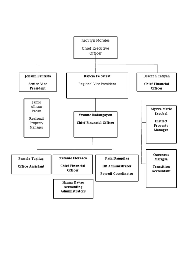 Company Leadership Team Overview | PDF