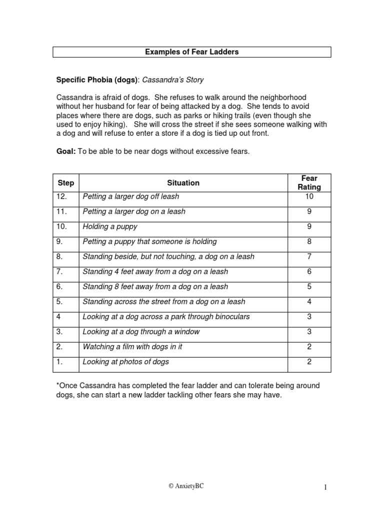 Examples of Fear Ladders | PDF | Anxiety | Traffic