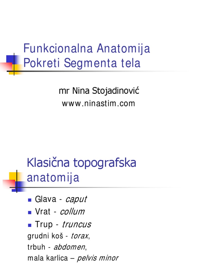Anatomija Segmenti Tela | PDF