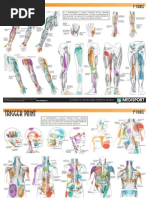 Therapy Ed NPTE Review & Study Guide by O'Sullivan & Siegelman 1 | PDF