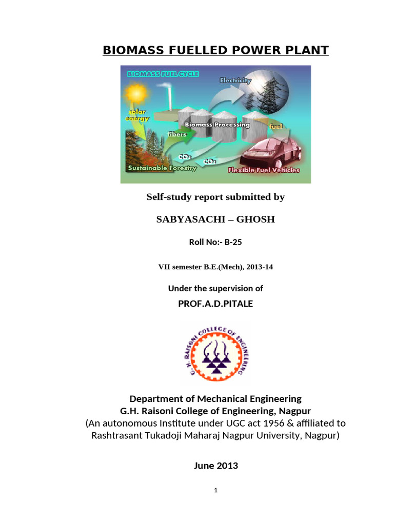 Final Report of Biomass Fuelled Power Plant | Download Free PDF ...
