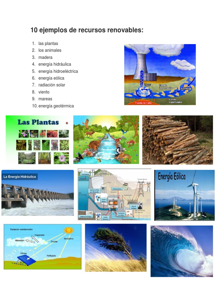 10 Ejemplos de Recursos Renovables | PDF | Recursos renovables | Energía renovable