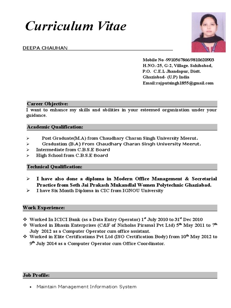 Deepa Chauhan's CV Overview | PDF