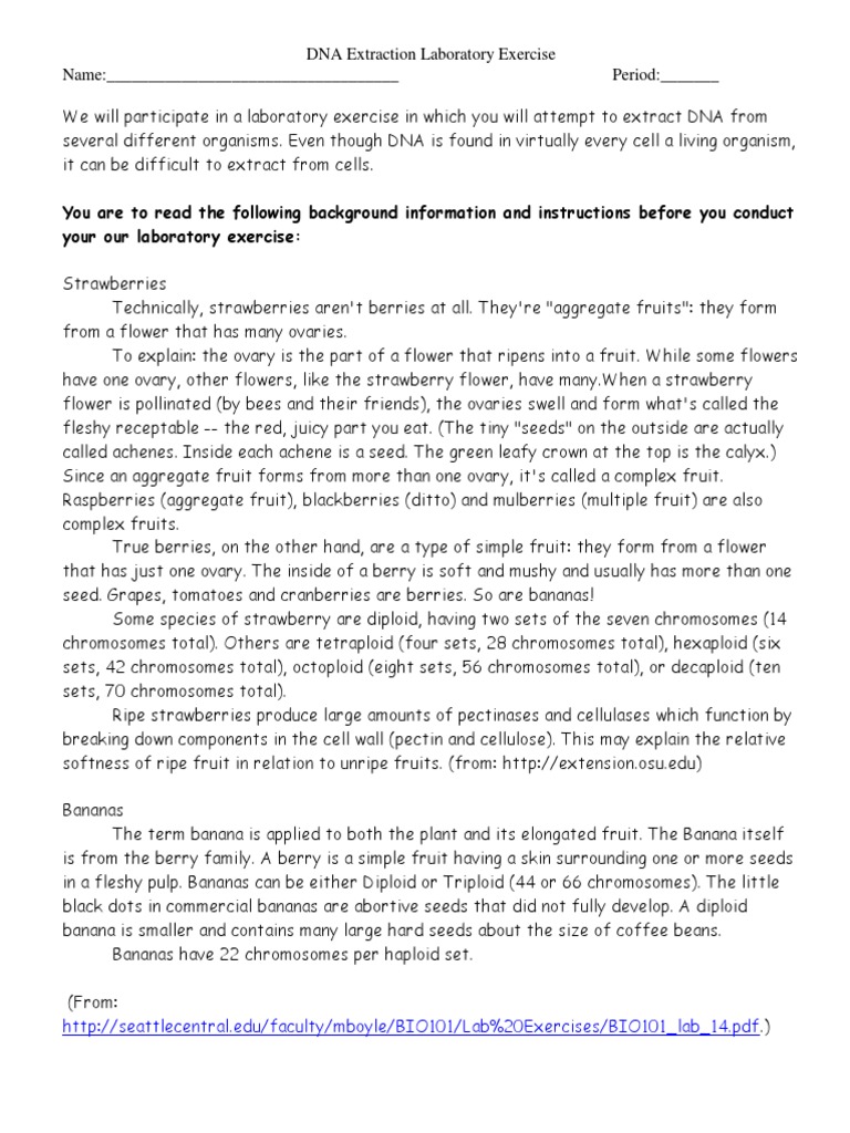 DNA Extraction Laboratory Complete | PDF | Berry | Fruit