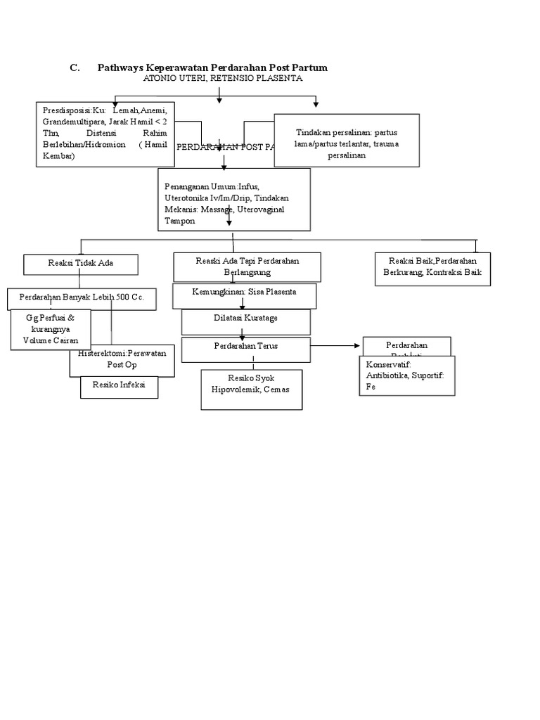 Pathways Keperawatan Perdarahan Post Partum