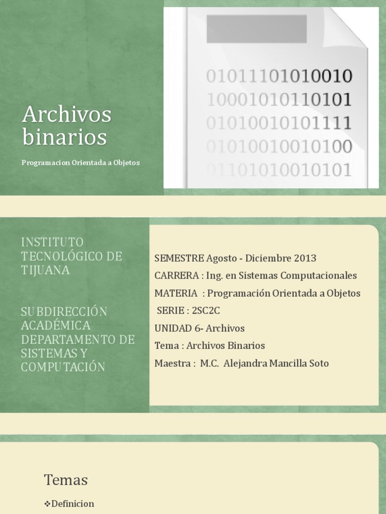 Archivos binarios | Archivo de computadora | Datos de computadora ...