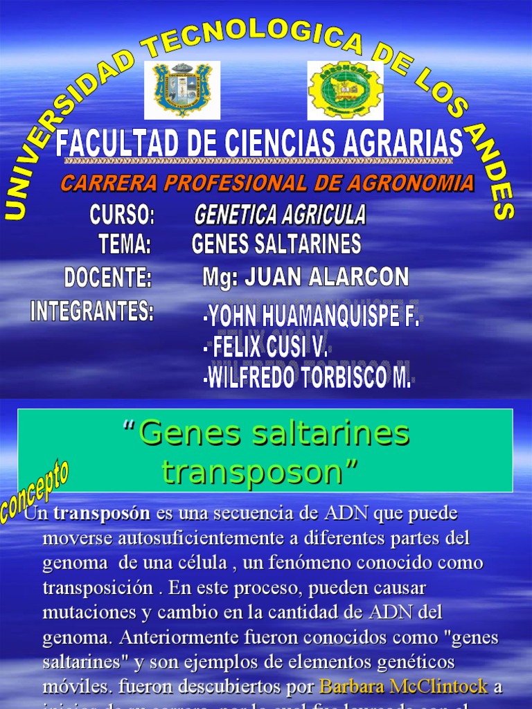 GENETICA - Genes Saltarines Jhon Huamanquispe Flores | PDF | Elemento ...