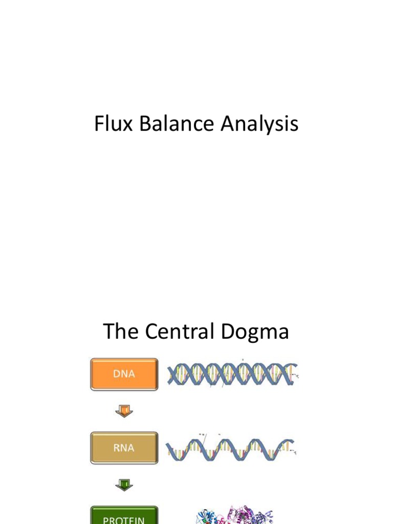 Flux Balance Analysis | PDF | Metabolic Pathway | Cellular Processes
