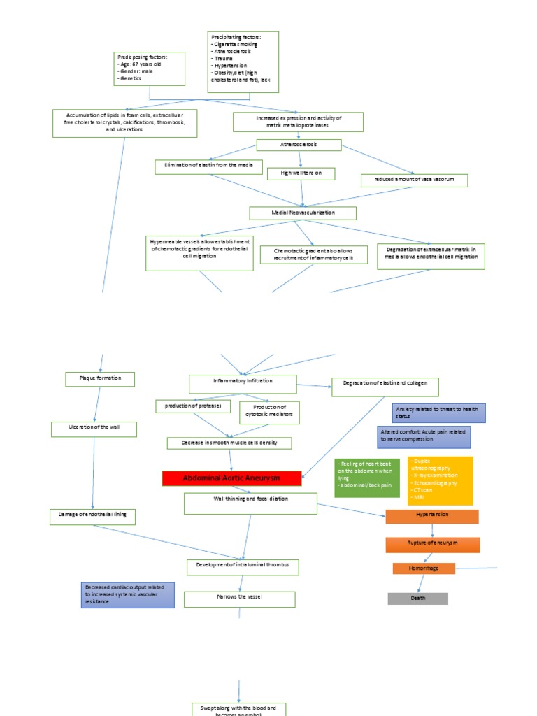 Concept Map AAA | PDF | Embolism | Atherosclerosis