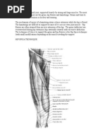 Alfredson Protocol - Achille's Tendonitis | PDF | Pain | Clinical Medicine