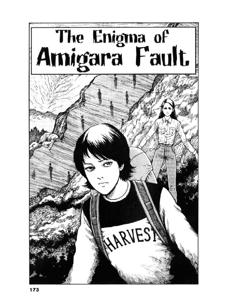 The Enigma of Amigara Fault | PDF