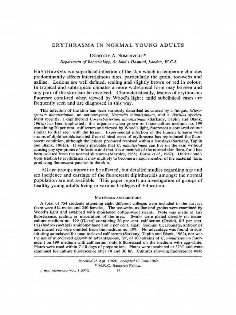 Erythrasma Normal Y O U N G Adults Dorothy A. ERY: Department ...