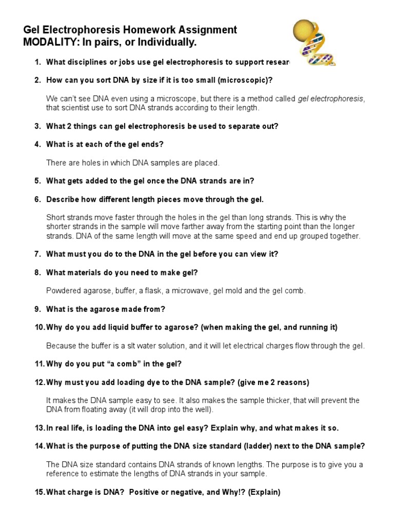Gel Electrophoresis Homework Assignment 2013-1 | PDF | Agarose Gel ...