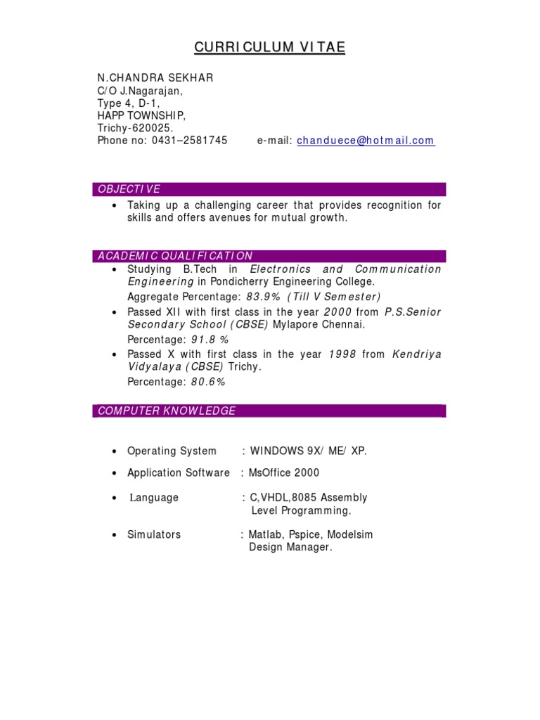 Model Resume | PDF | Computer Engineering | Digital Technology