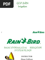Rain Bird Design Guide | PDF | Pipe (Fluid Conveyance) | Irrigation