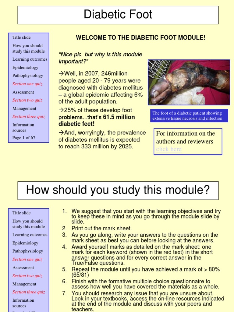Welcome To The Diabetic Foot Module! | PDF | Wound | Artery