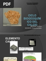 Ciclo Biogeoquímico Del Calcio | PDF | Calcio | Plantas