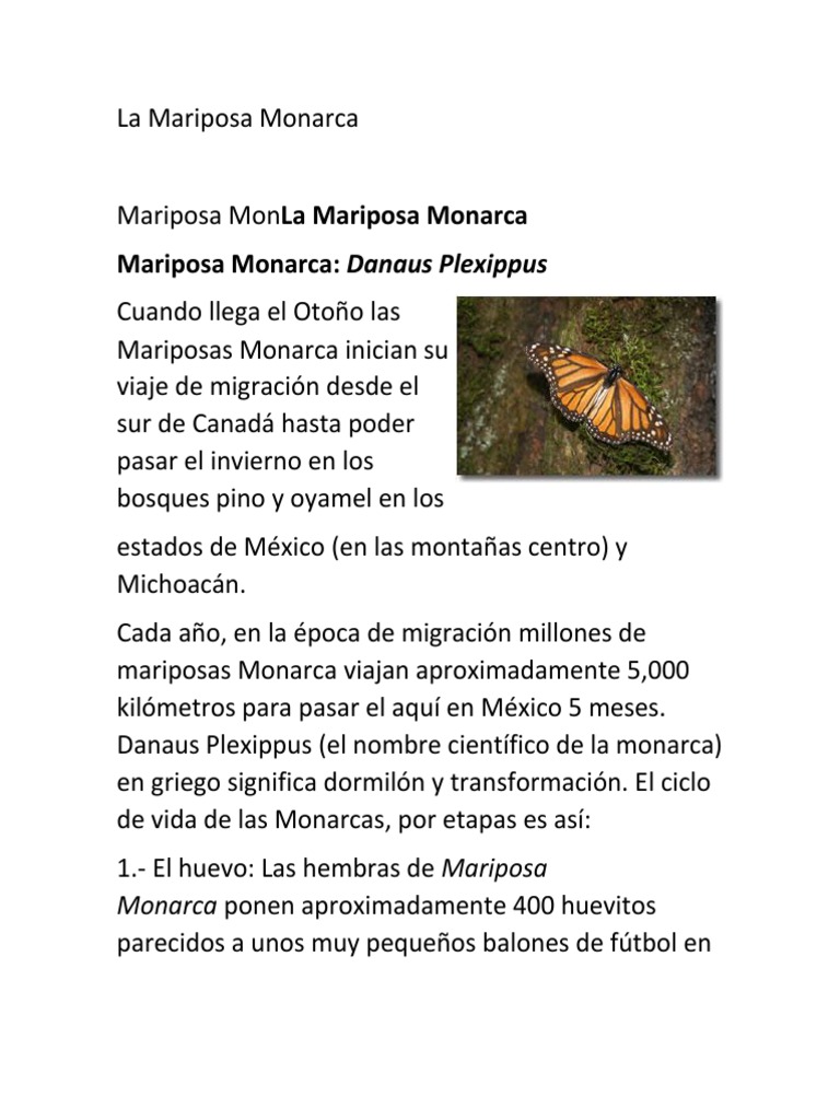 La Mariposa Monarca | PDF | Lepidópteros | Insectos
