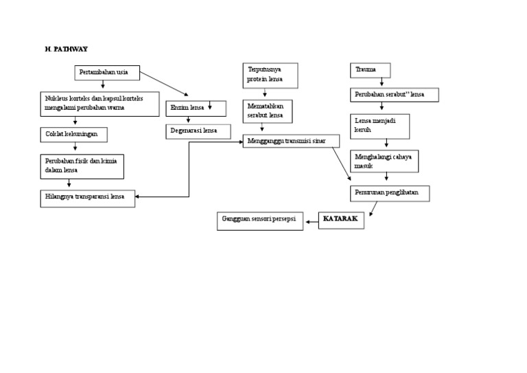 Katarak Pathway | PDF | Pengembangan Diri | Kesehatan Holistik