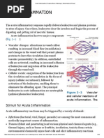 Robbins Pathology Lecture Notes Summary | PDF | Immune System | Antibody