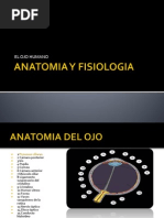 Estudio de La Vision Cromática | PDF | Percepción visual | Ojo humano
