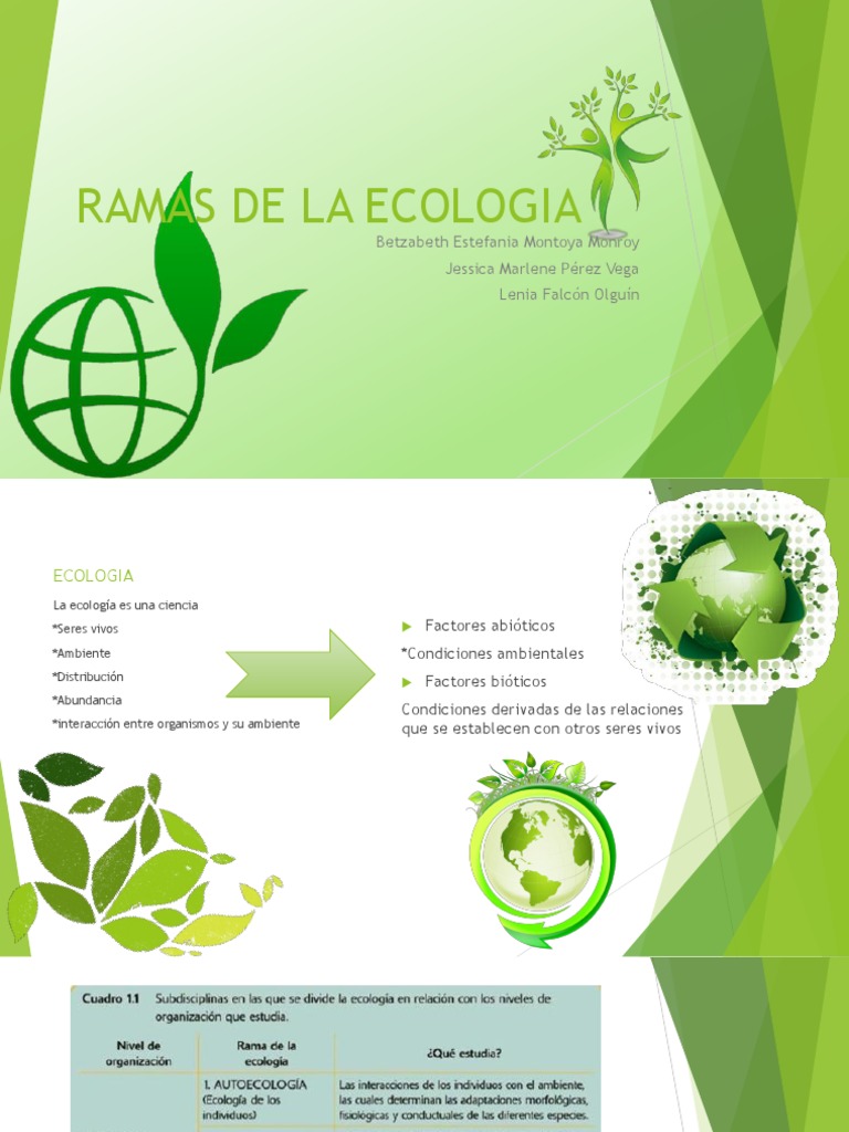 Ramas de La Ecologia