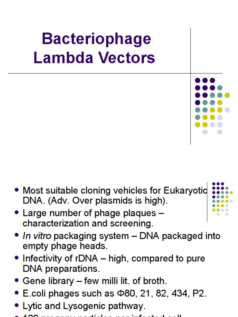 KK - Bacteriophage Lambda Vectors | PDF | Molecular Biology | Life Sciences