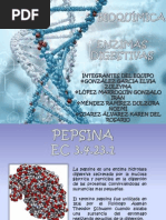 Función y Efectos de la Motilina | PDF | Diarrea | Intestino delgado