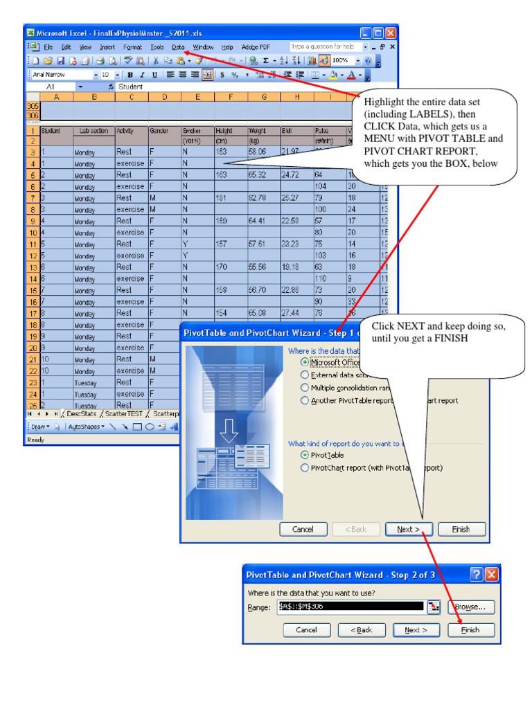 Creating Pivot Tables in Excel | PDF