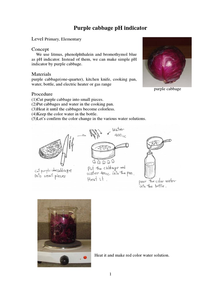 Purple Cabbage as pH Indicator | PDF