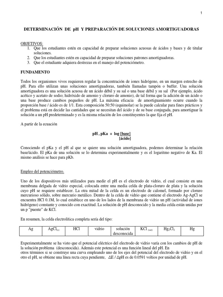 Preparación de Soluciones Amortiguadoras y Determinación de Ph | PDF | Solución tampón | Ph