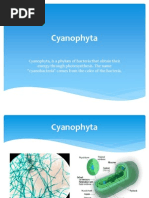 Guidelines for rHIVda Implementation | PDF | Diagnosis Of Hiv/Aids ...