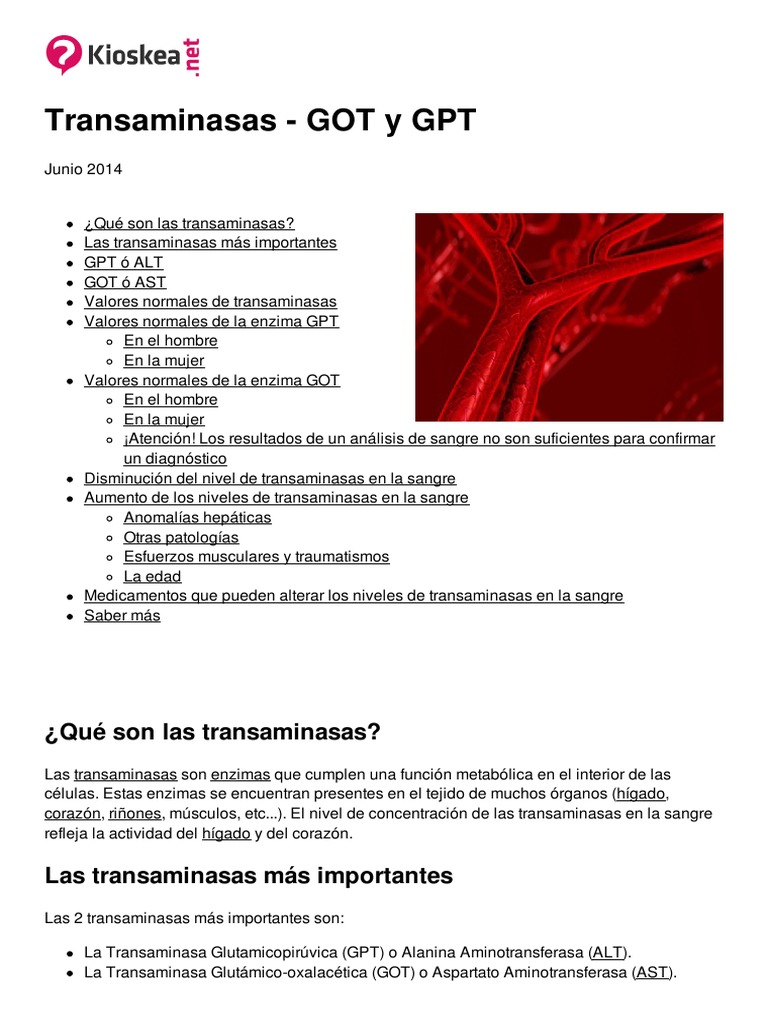 Transaminasas Got y Gpt 2161 Mvi4jc | Transaminasa | Enfermedades y ...