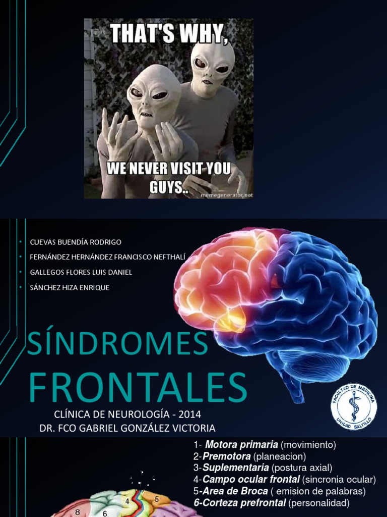 Síndrome Frontal | Afasia | Medicina clínica