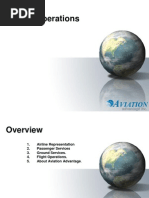 Airline Organizational Structure | PDF | Airlines | Low Cost Carrier