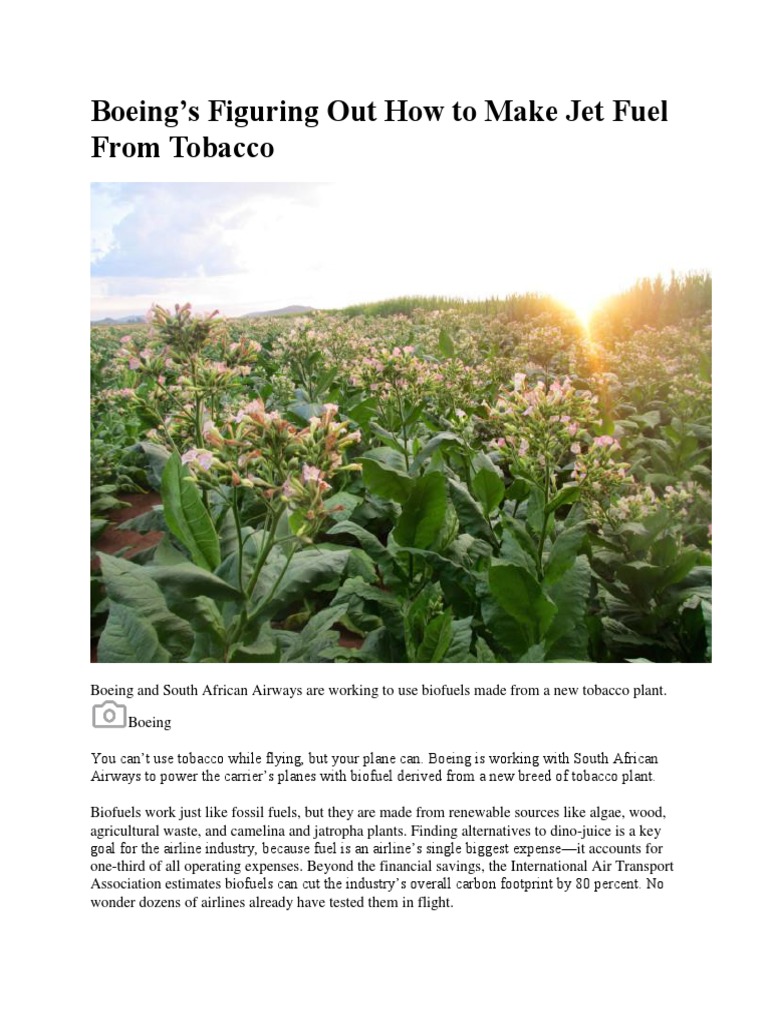 Boeing | PDF | Biofuel | Fuels