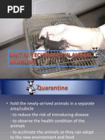 Anesthesia Cheat Sheet: Dogs Cats | PDF