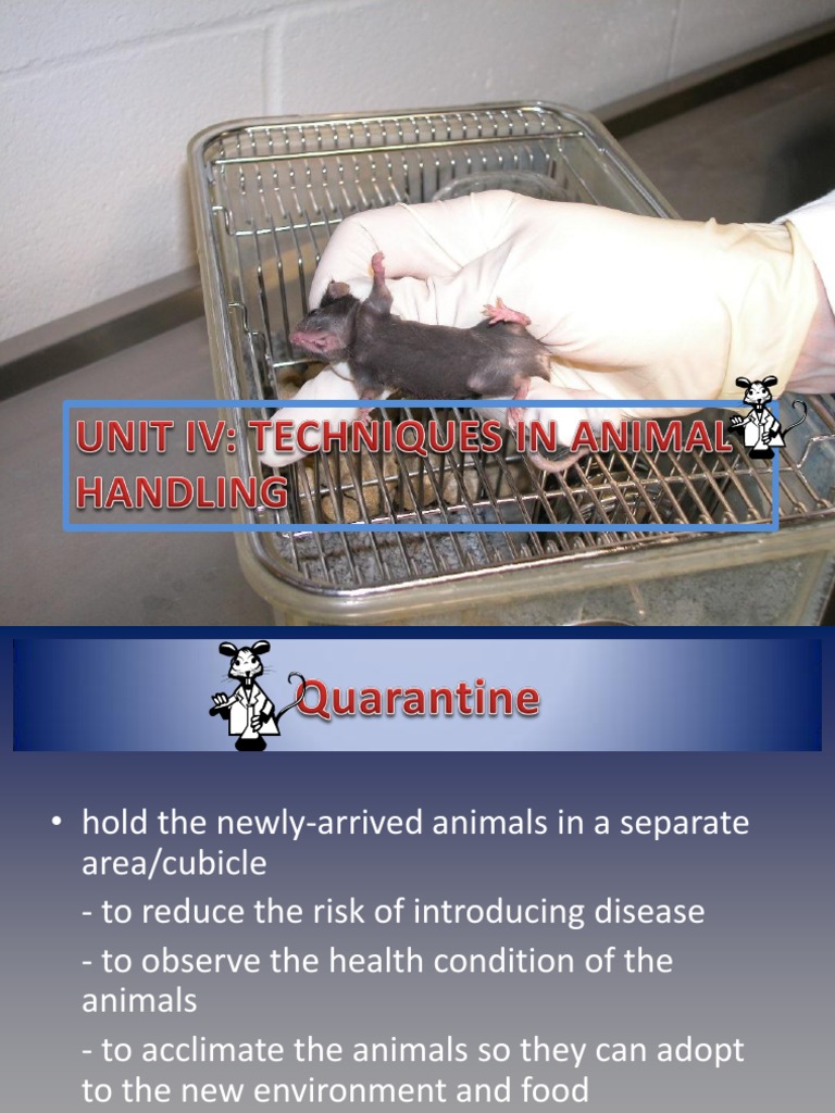 Animal Handling | PDF