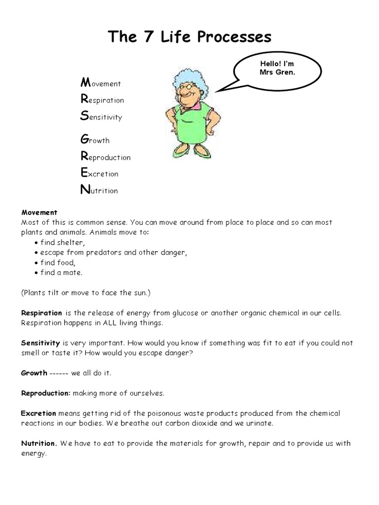 The 7 Life Processes | PDF