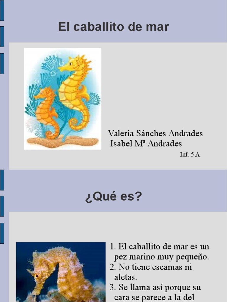 Características del caballito de mar para niños | PDF