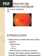 Cápsula de Tenon: Anatomía y Tenonitis | PDF | Ojo humano | Ojo