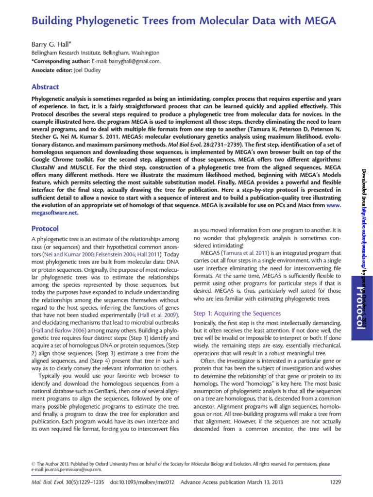 Phylogenetic Tree Building with MEGA | PDF | Blast | Sequence Alignment