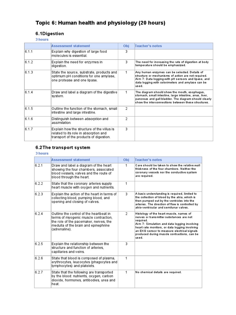 Topic 6 Human Health& Physiology | PDF | Digestion | Neuron