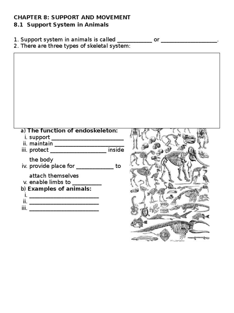 CHAPTER 8 Support and Movement | PDF | Skeleton | Biology