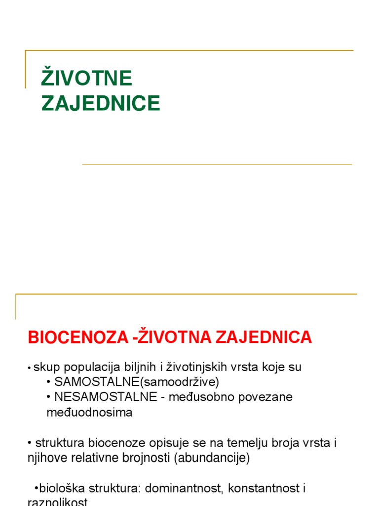Zivotne Zajednice | PDF