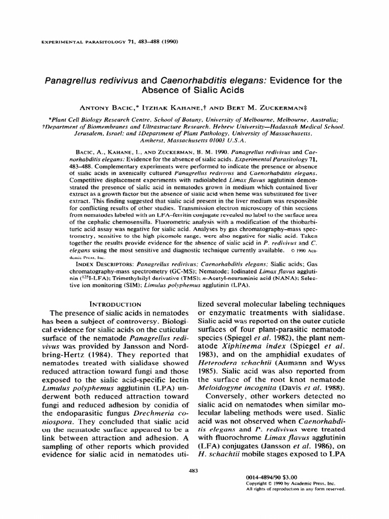 Panagrellus Redivivus and Caenorhabditis Elegans: Evidence For The ...